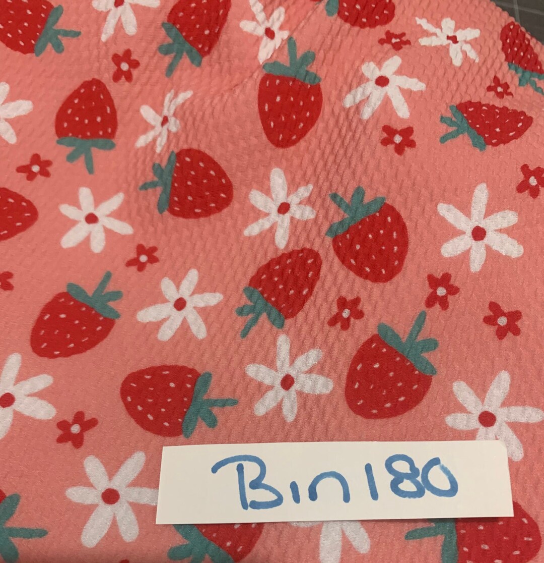 Strawberries Summer Fruit Daisy Strip Print Bullet Fabric Strip DIY ...