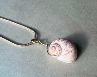 Moon Snail Necklace - Etsy