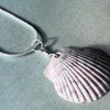 Genuine Double White Jingle Shell Bracelet With Adjustable Slide in ...