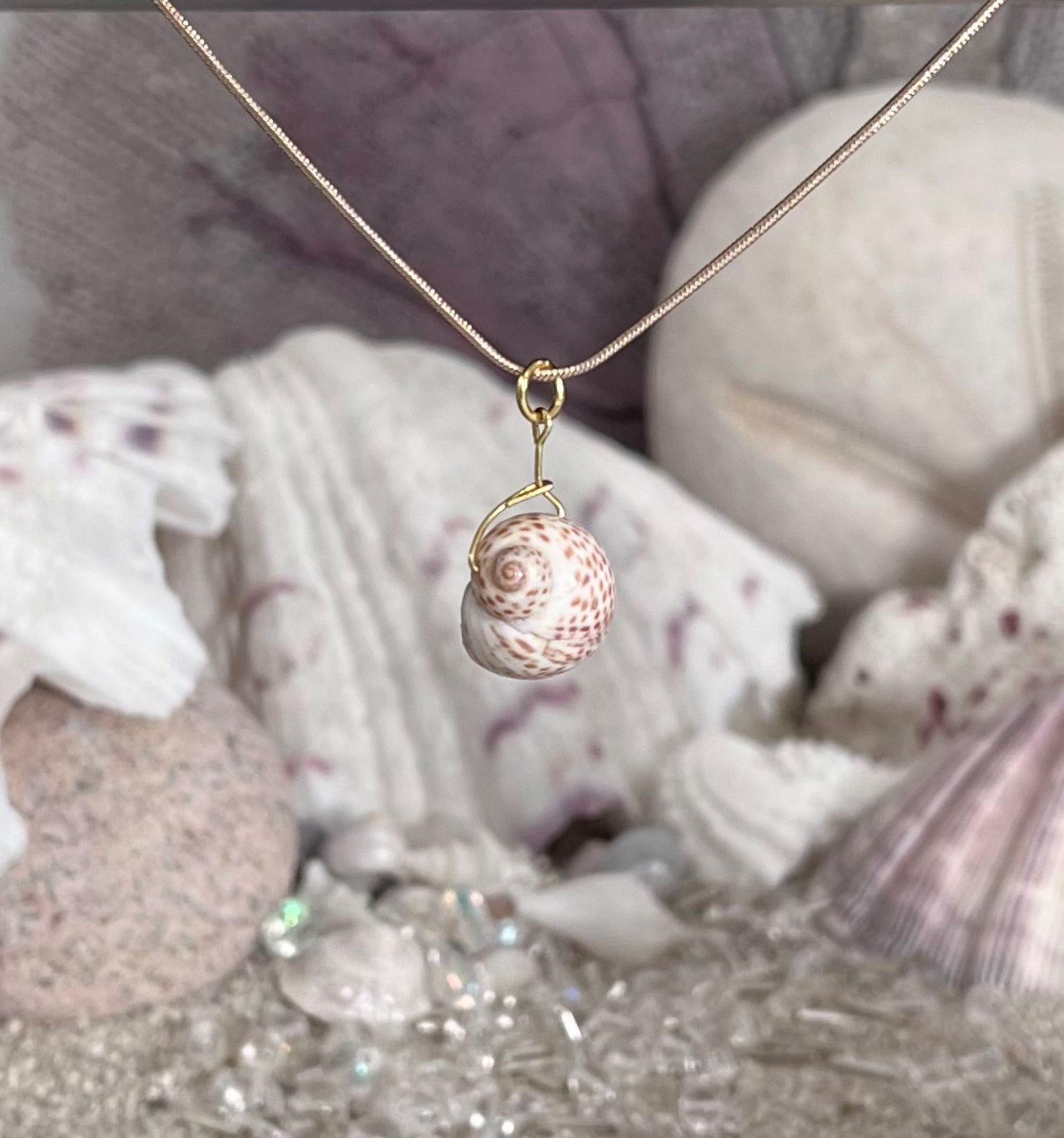 Genuine Spotted Moon Snail Sea Shell Pendant Gold Snake Chain - Etsy
