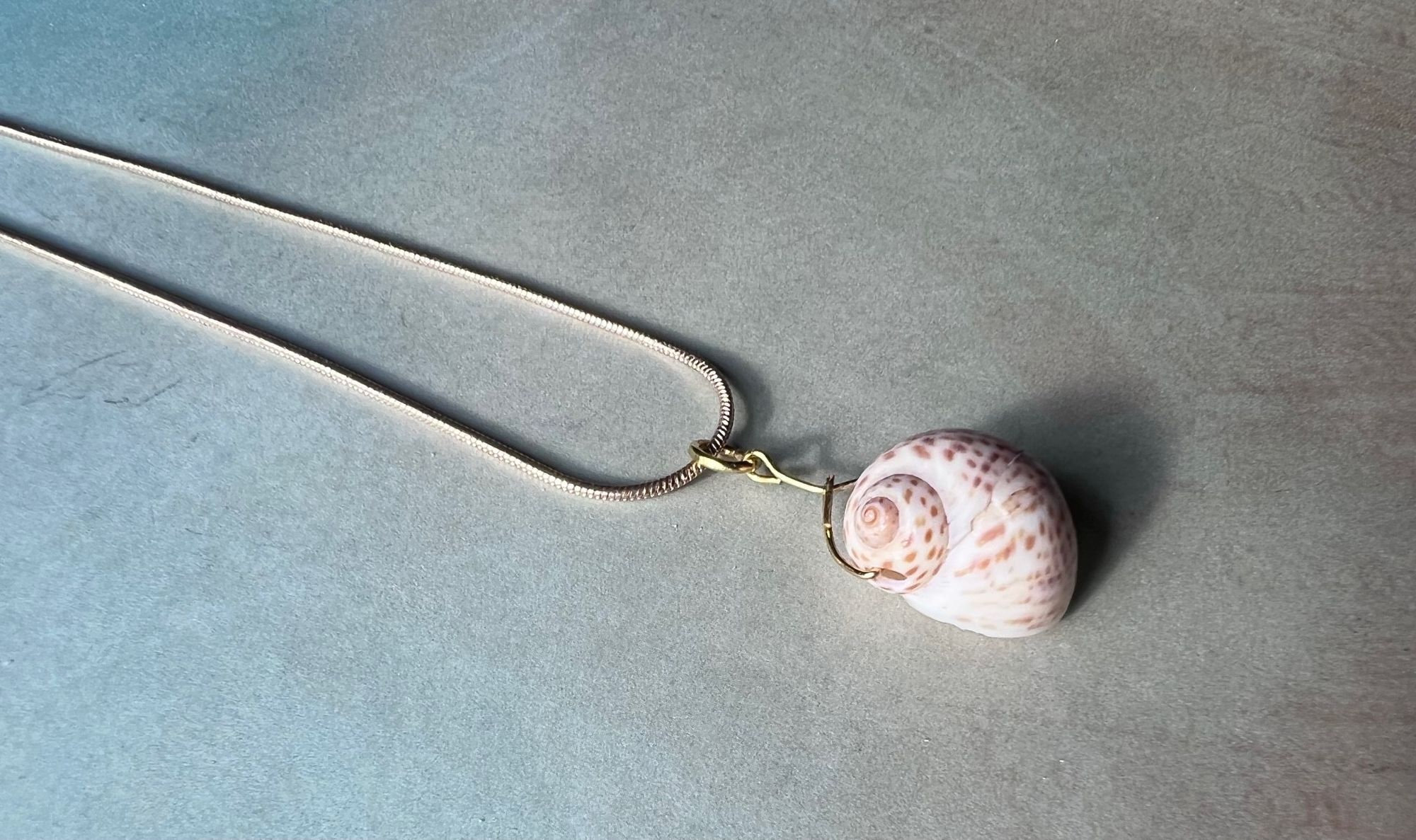 Genuine Spotted Moon Snail Sea Shell Pendant Gold Snake Chain - Etsy