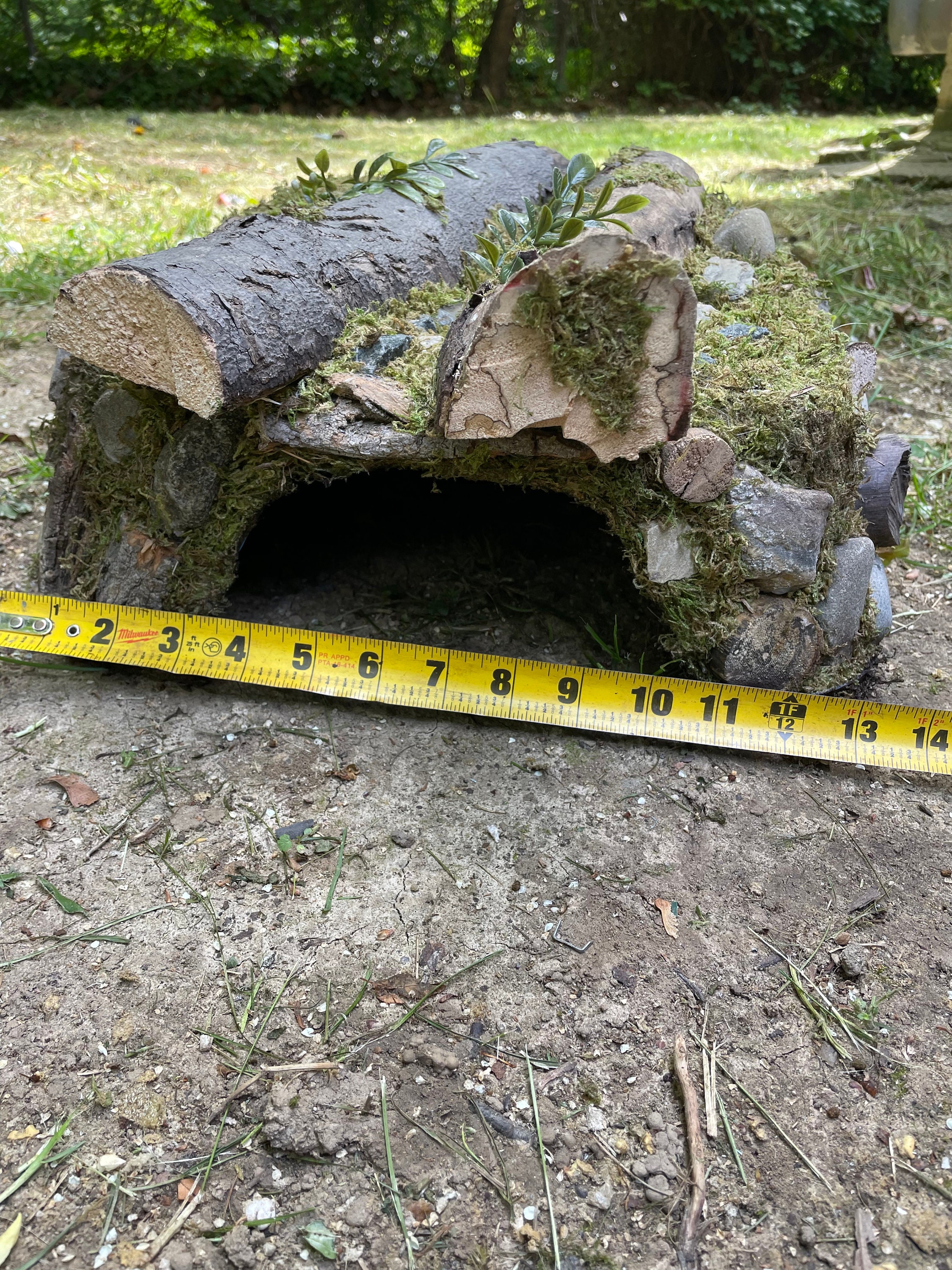 XL Large Reptile Hide/cave - Etsy