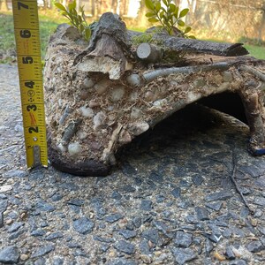 XL Large Reptile Hide/cave | Etsy