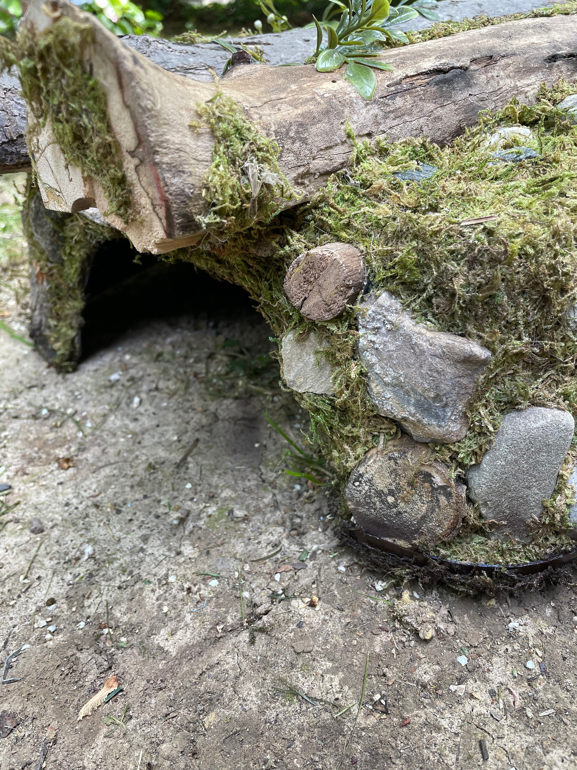 XL Large Reptile Hide/cave - Etsy