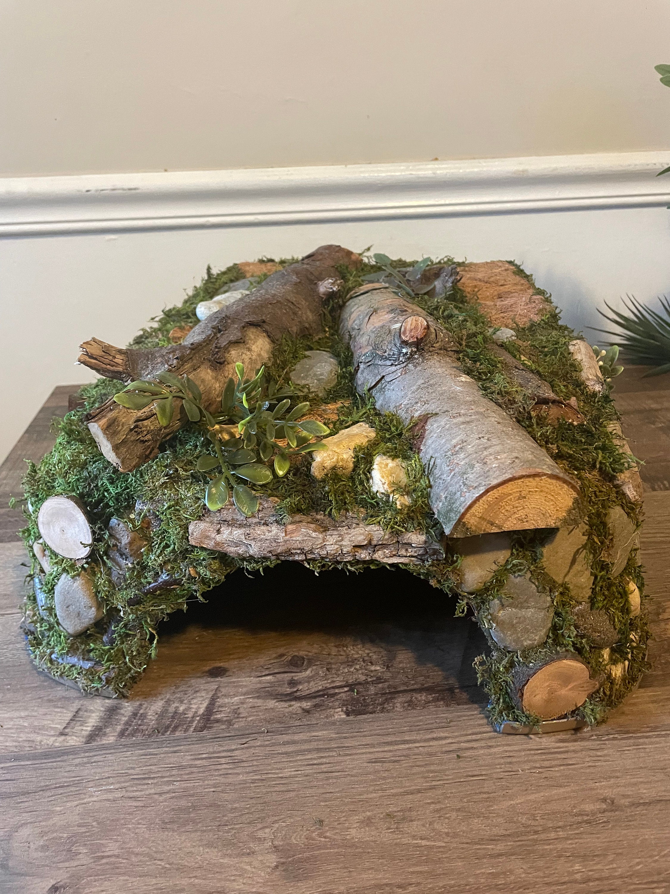 XL Large Reptile Hide/cave - Etsy