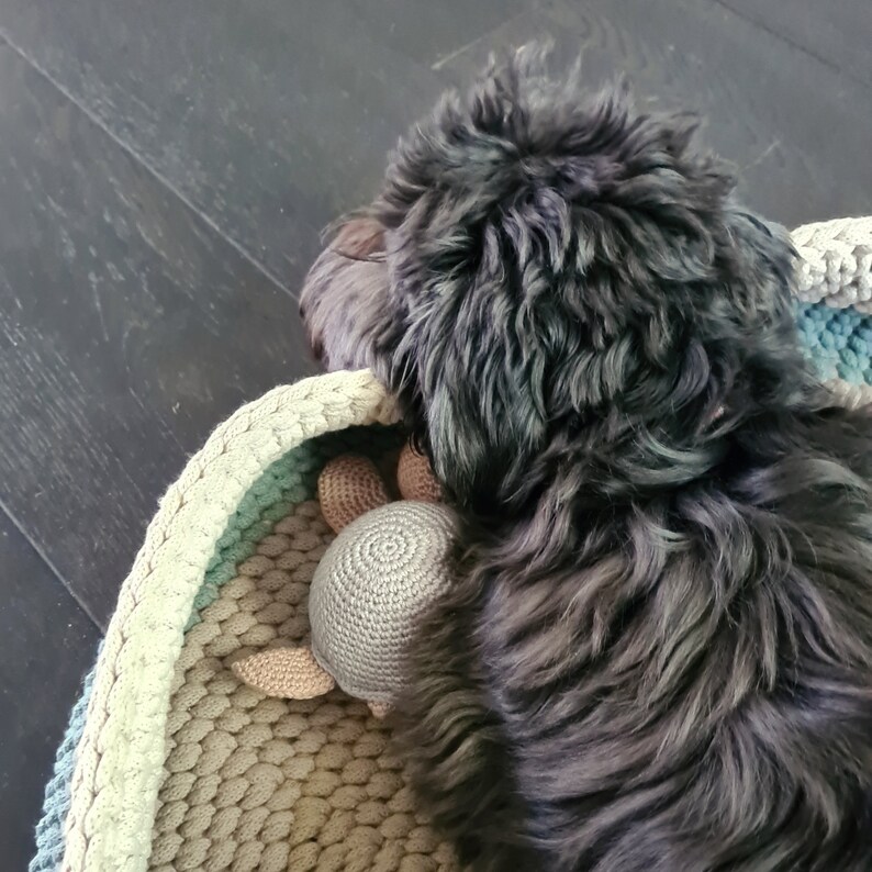 Turtle toy for dog / soft toys for dogs / modern dog toys / | Etsy