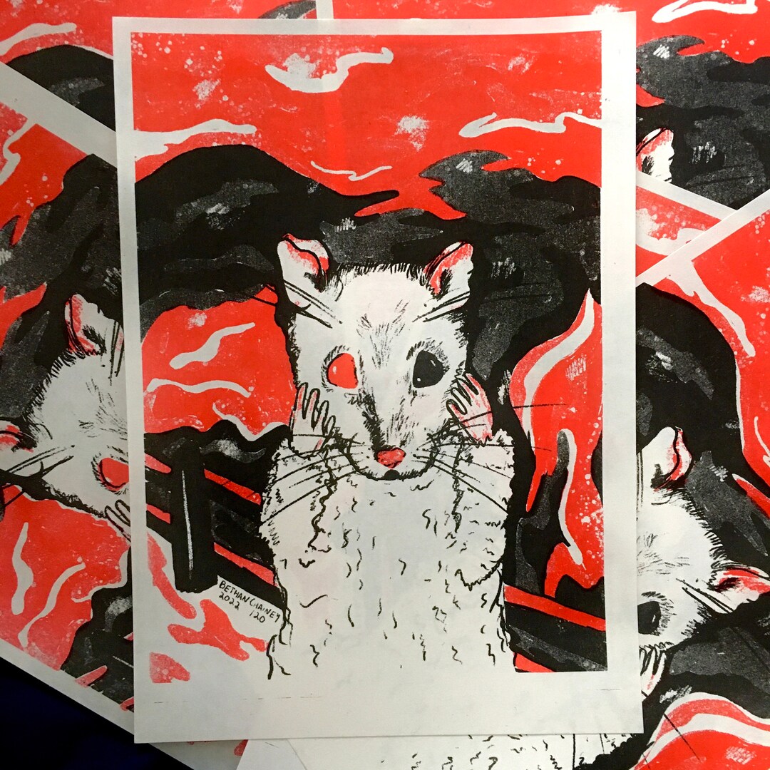 The Squeak A4 Risograph RISO Quirky Art Print Colourful - Etsy