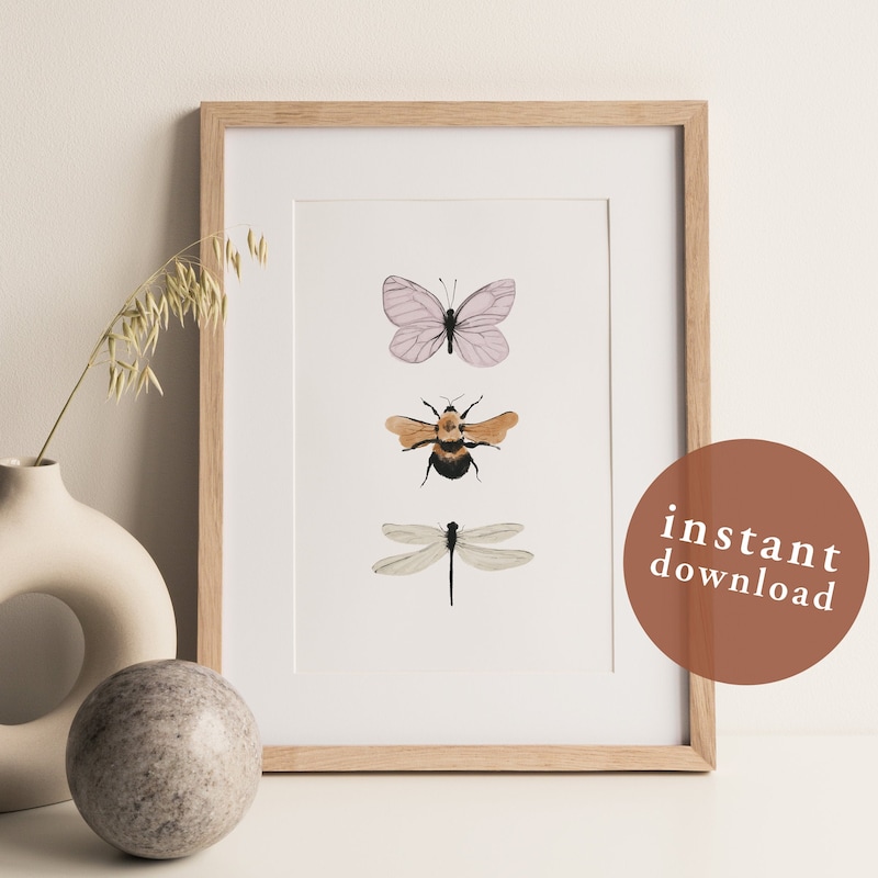 Insect Wall Art - Etsy