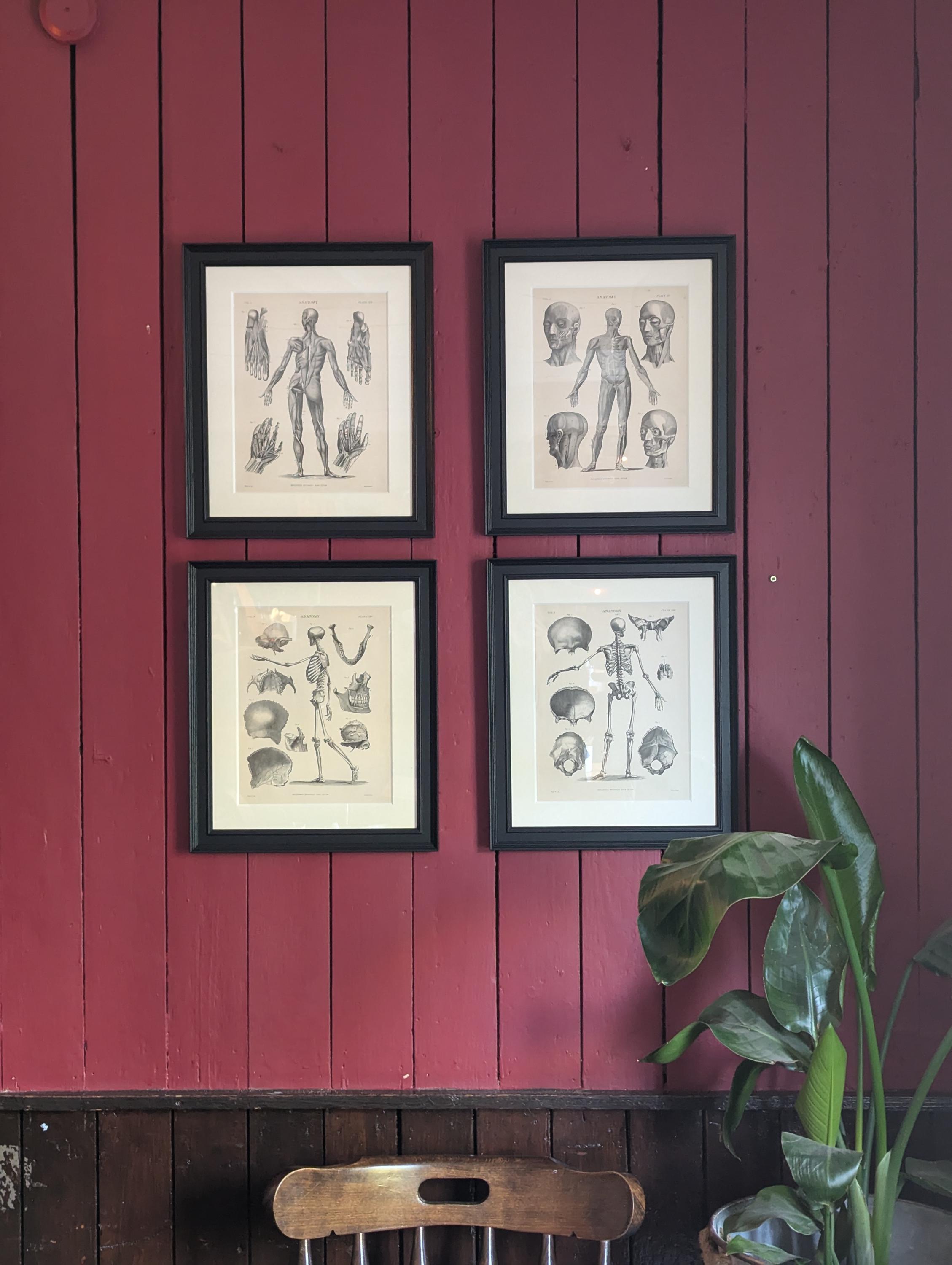 Vintage Anatomy Prints 1830 Lithographs Sets Small Painting Original ...