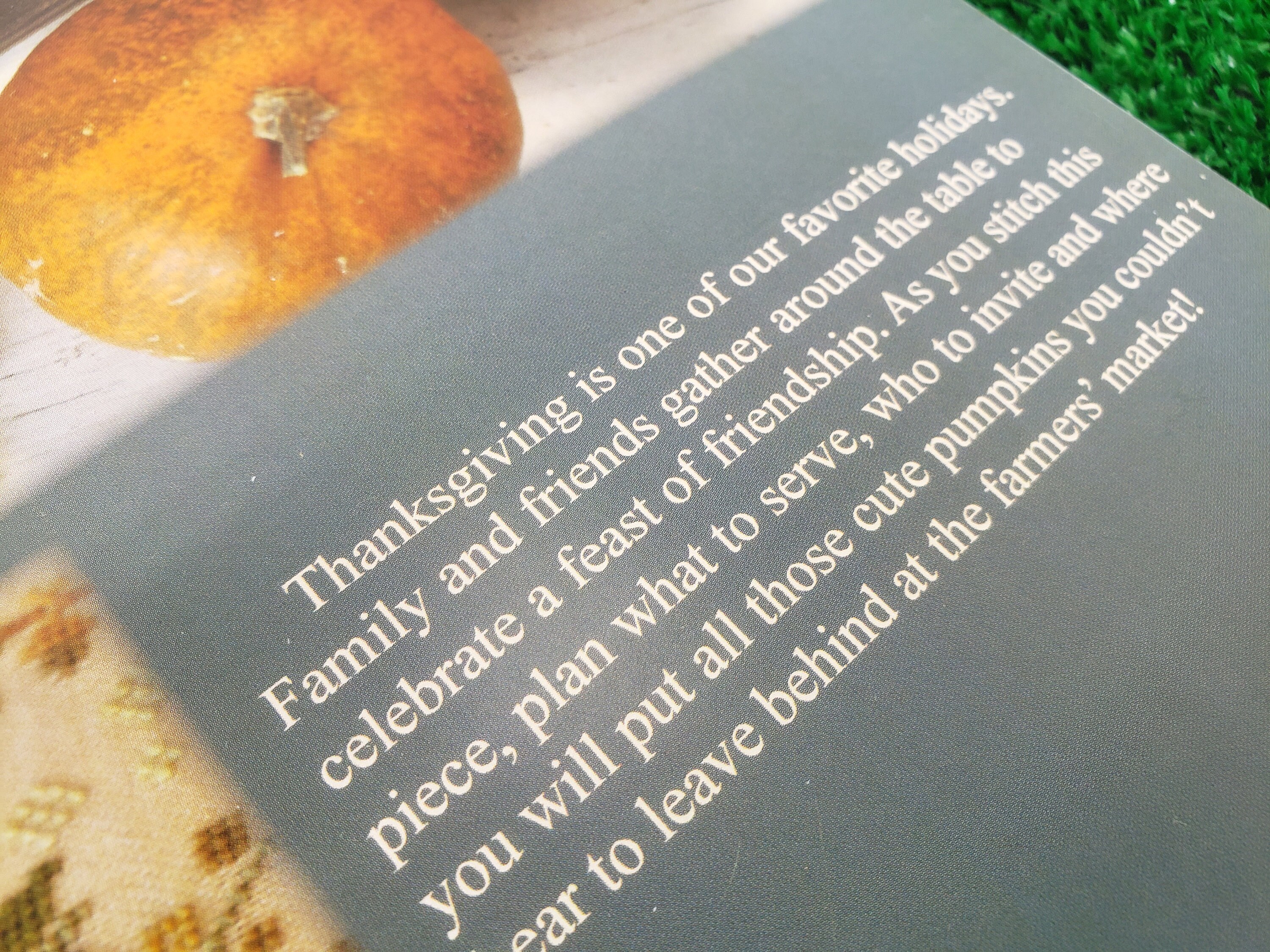 Feast of Friendship Cross Stitch Pattern Chart Blackbird - Etsy