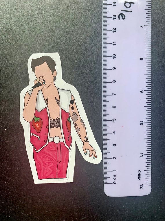 Harry Styles Cartoon 2022