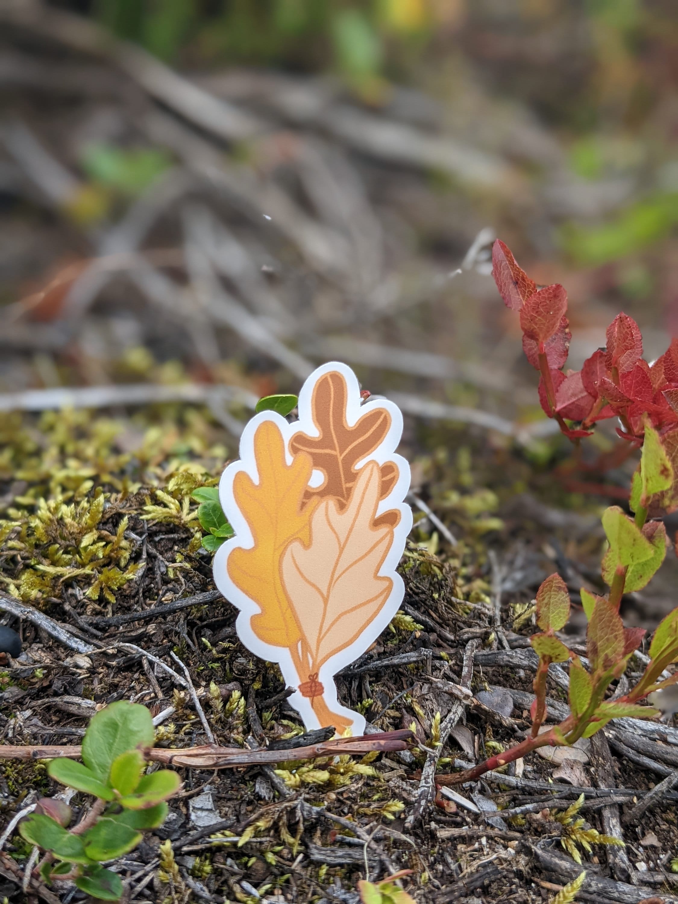 Bundle of Fall Oak Leaves Vinyl Sticker, Oak Leaf Sticker, Green Witch ...