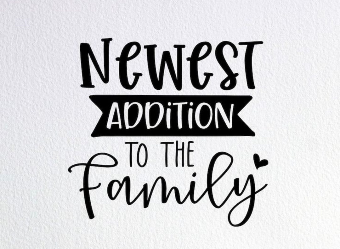 Newest Addition Svg - Etsy