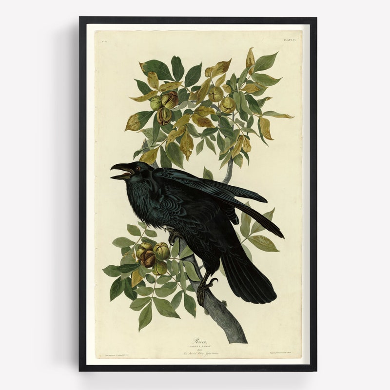 Raven Printable - Etsy
