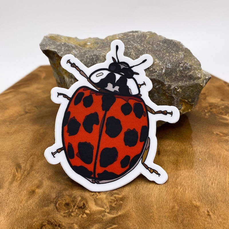Ladybug Decal - Etsy