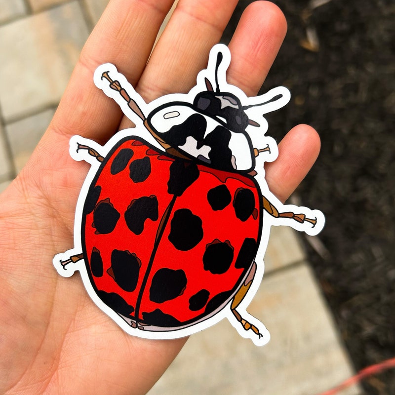 Cool Magnets Square - Etsy