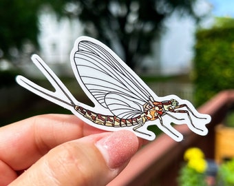 Mayfly - Etsy