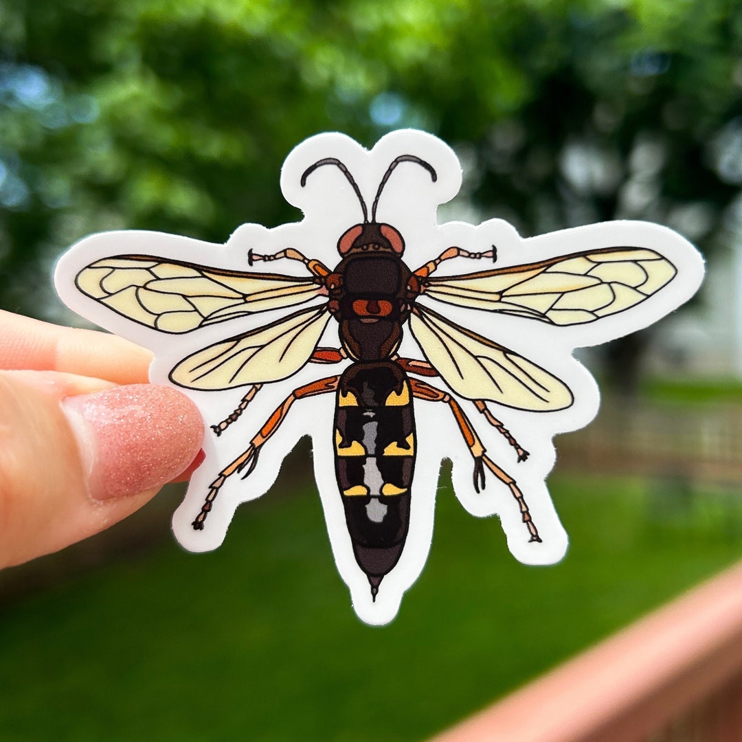 Cicada Killer Wasp Sticker, 3x2.34 in Hydro Flask Sticker/vinyl/laptop ...
