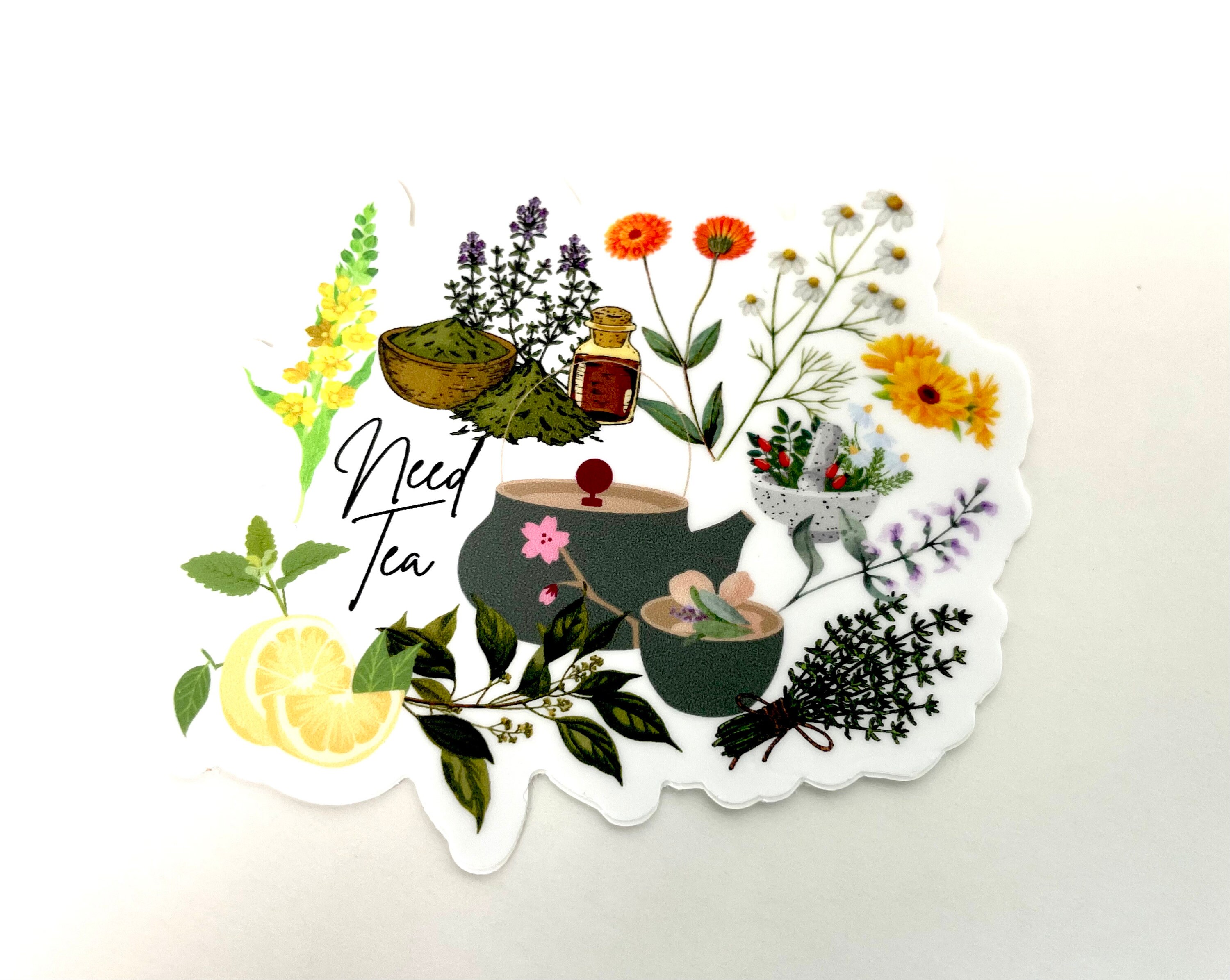 Need Tea Plant Apothecary Freeform 3x3 Herbal Horticulture Cute ...