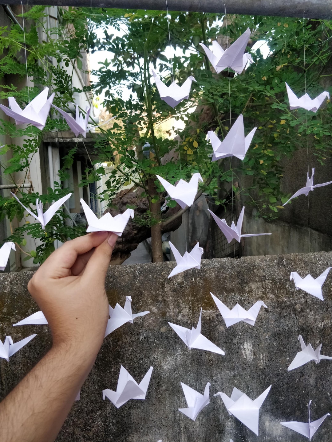 Origami Paper Cranes on Strings - Etsy