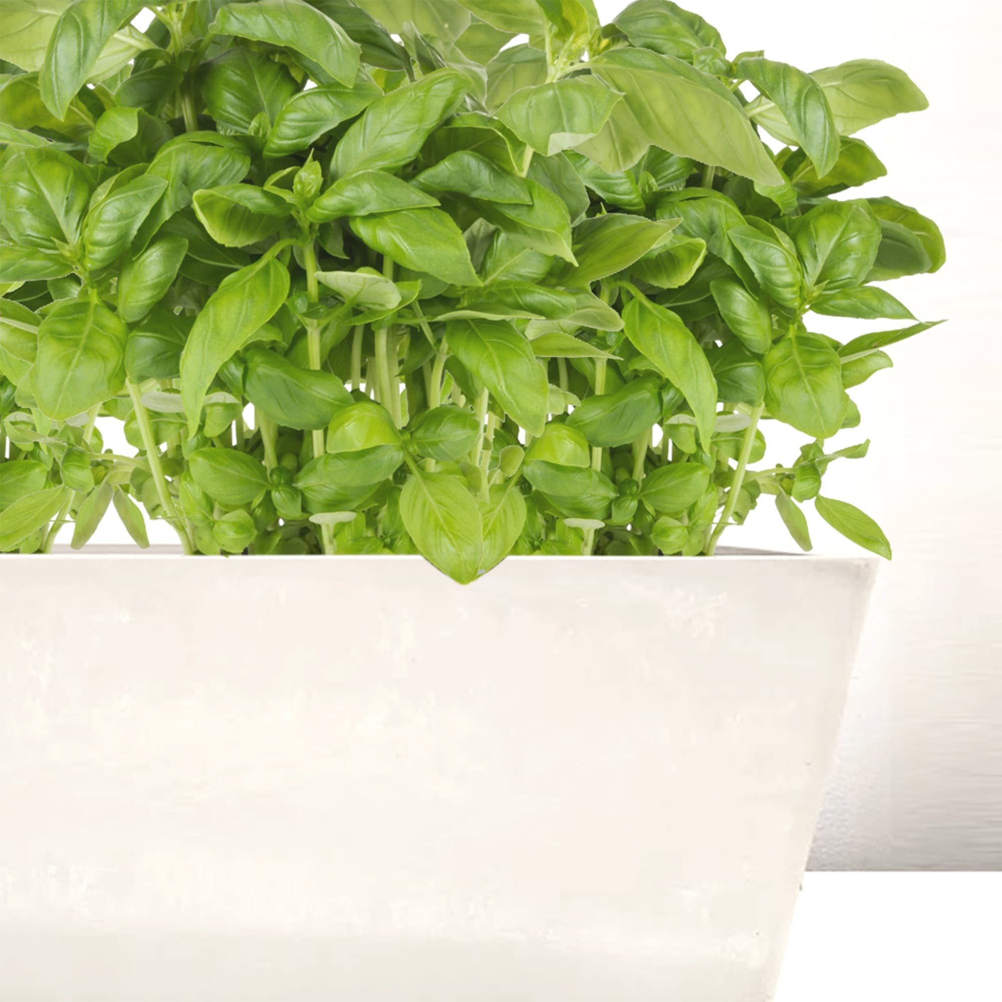 POPPY Composite Countertop Planter - Rectangular Planter – Herb Planter ...