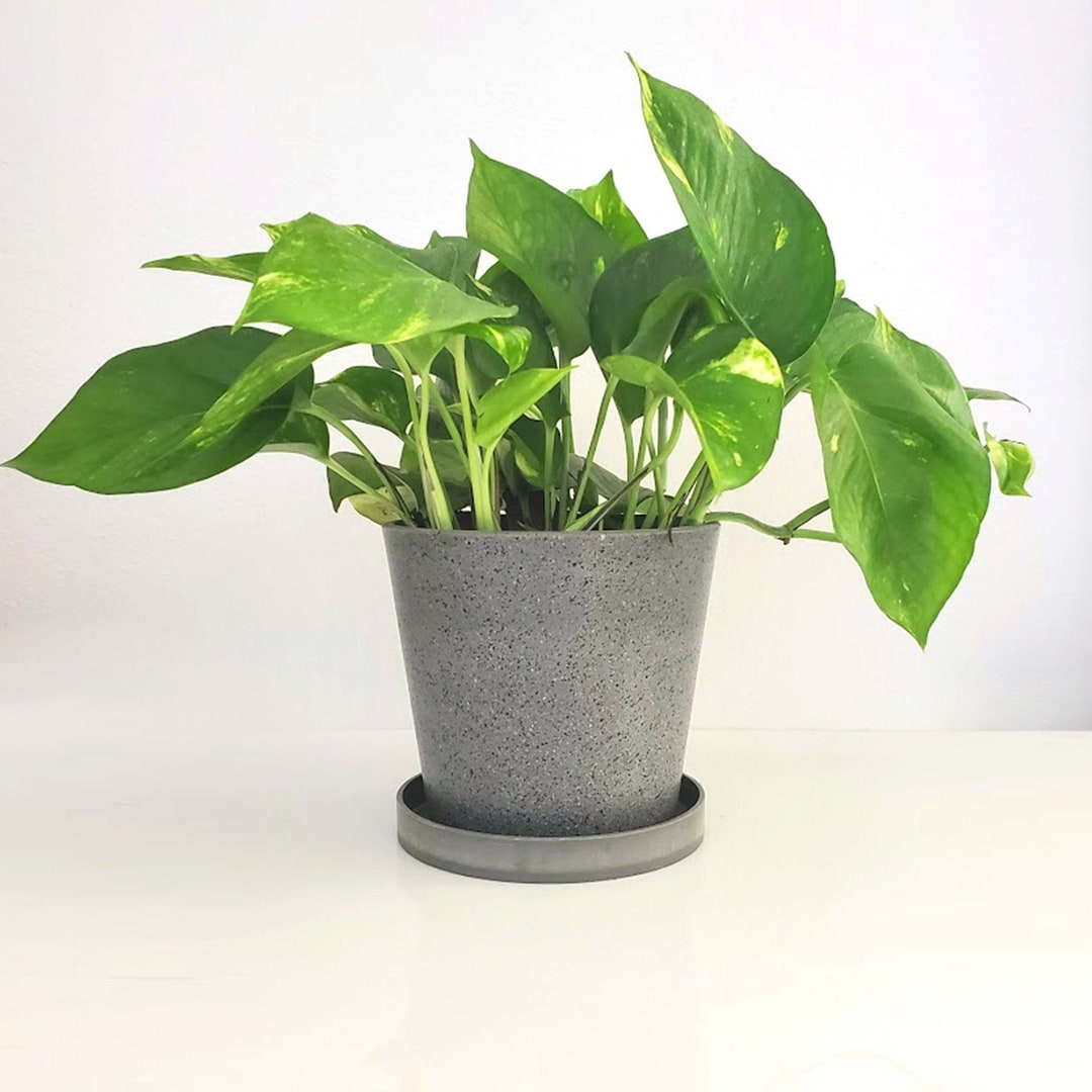 LILY – Circular Composite Planter With Saucer - Gray Terrazzo ...