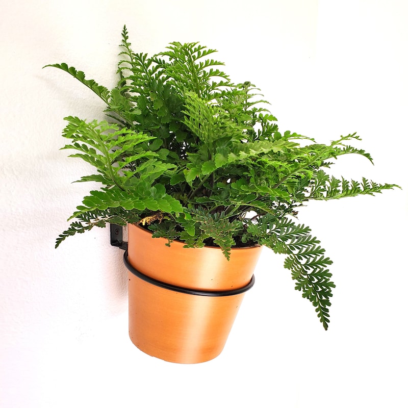 Wall Planter With Light - Etsy