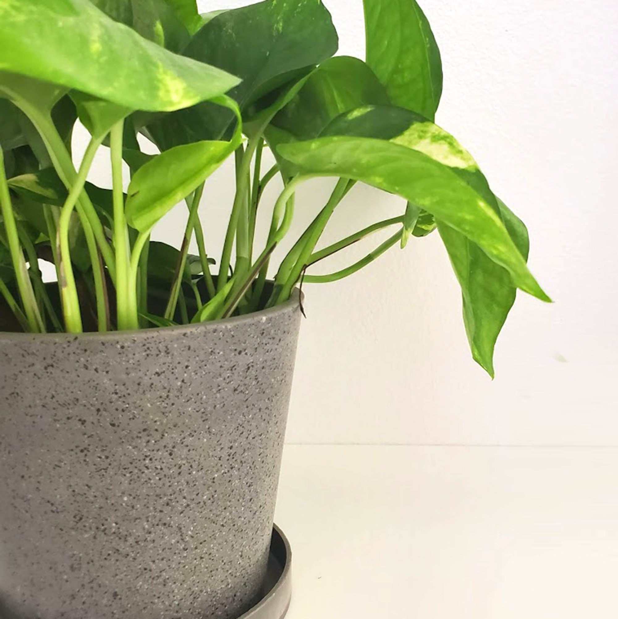 LILY – Circular Composite Planter With Saucer - Gray Terrazzo ...