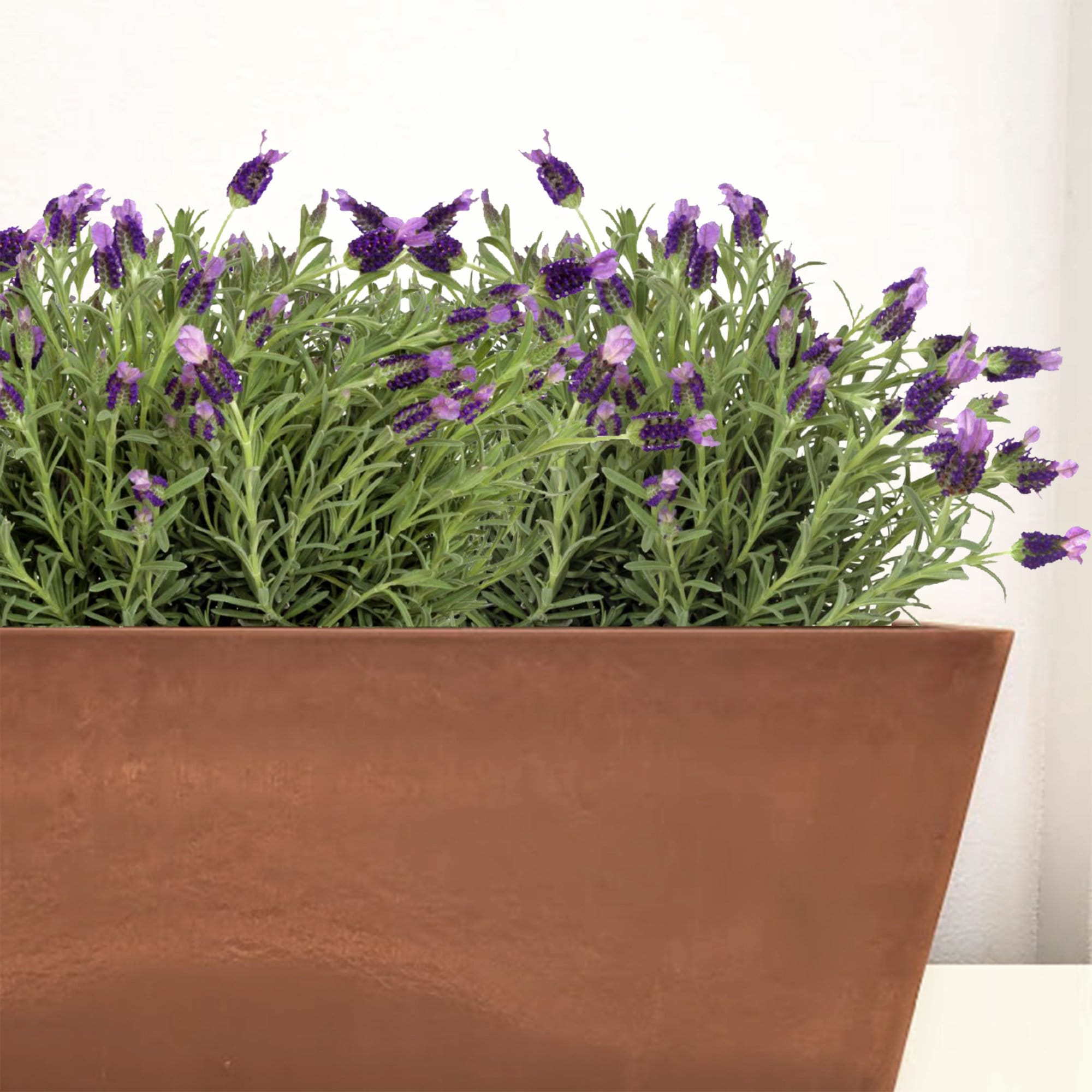POPPY Composite Countertop Planter Rectangular Planter - Etsy