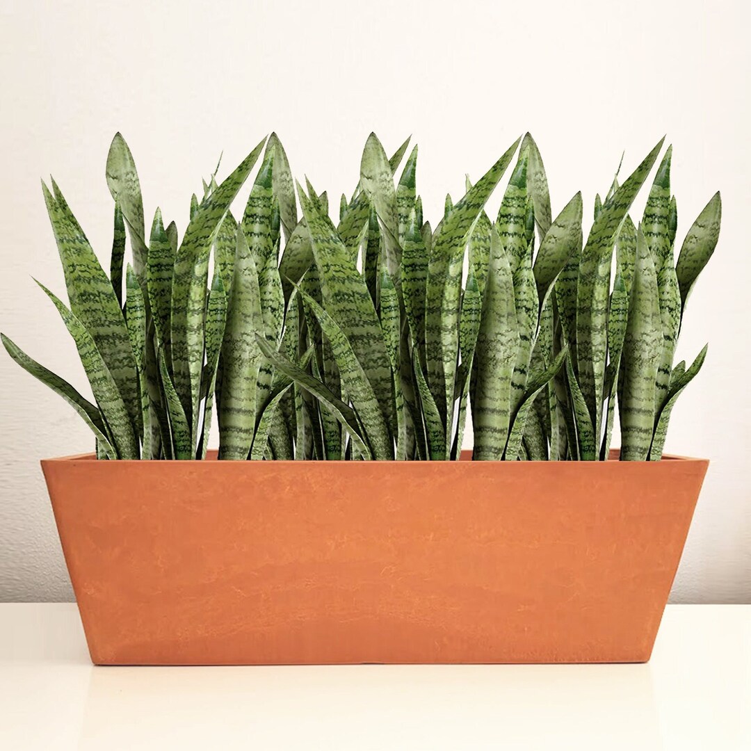 POPPY Composite Countertop Planter Rectangular Planter - Etsy