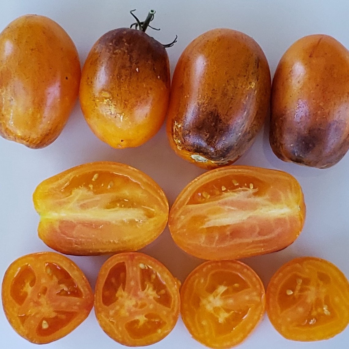 Organic Atomic Sunset Tomato - 15 Seeds - Etsy