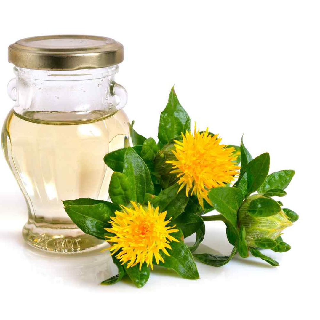 Safflower (carthamus Tinctorius Yellow) - 10 Seeds - Etsy