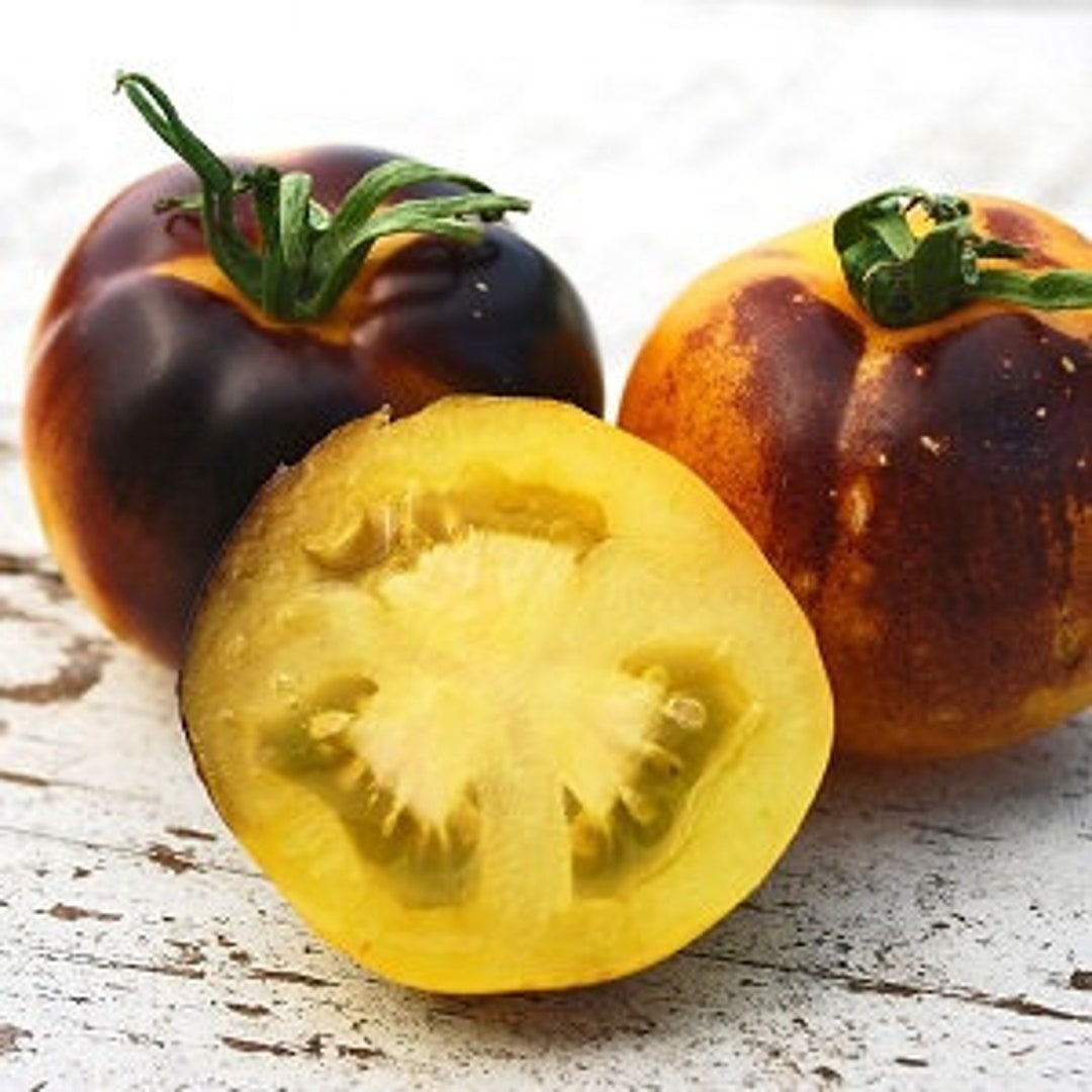 Organic Blue Gold Tomato - 15 Seeds - Etsy