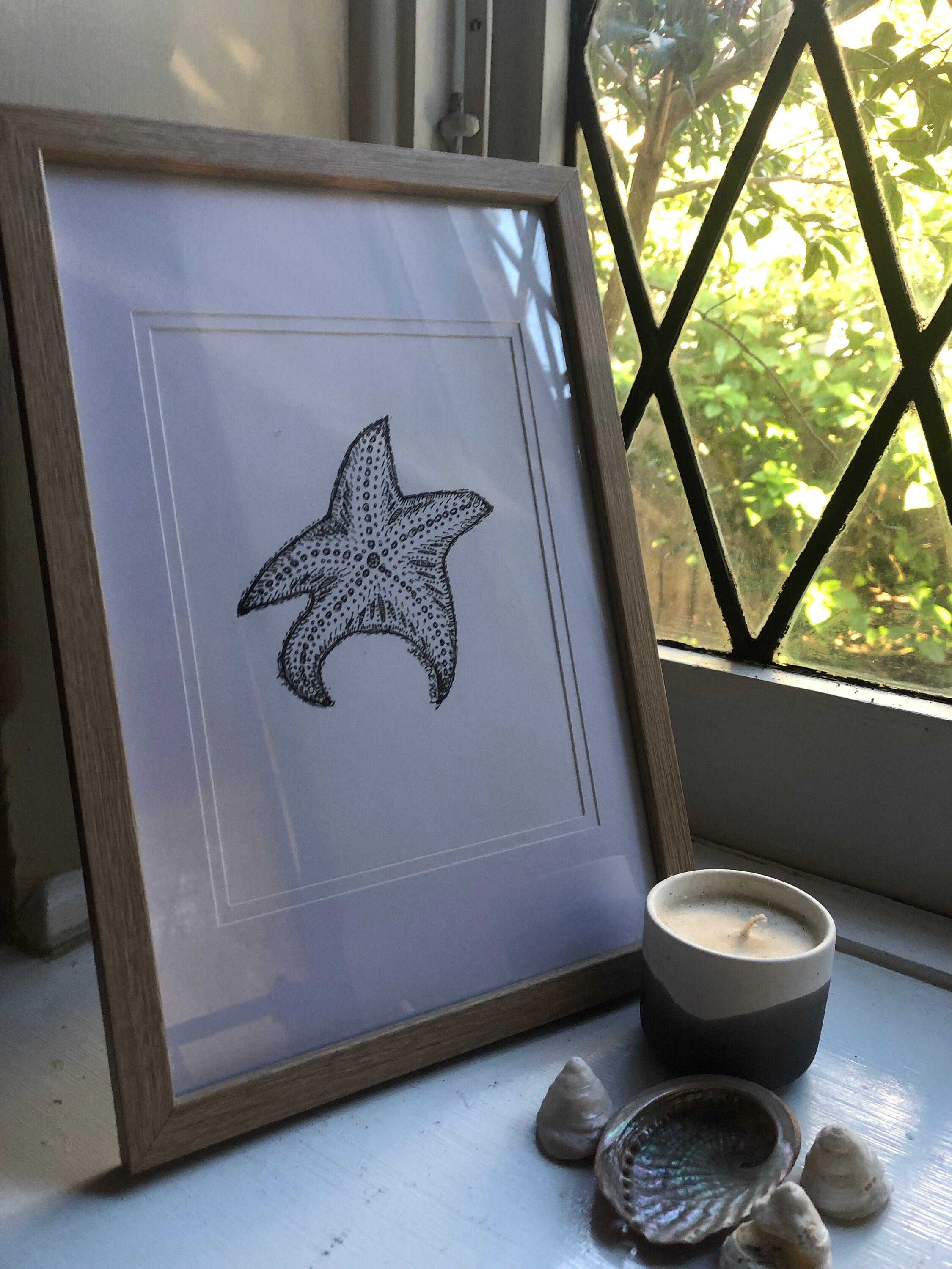 Print From Original Artwork Starfish Ink Drawing Print - Etsy