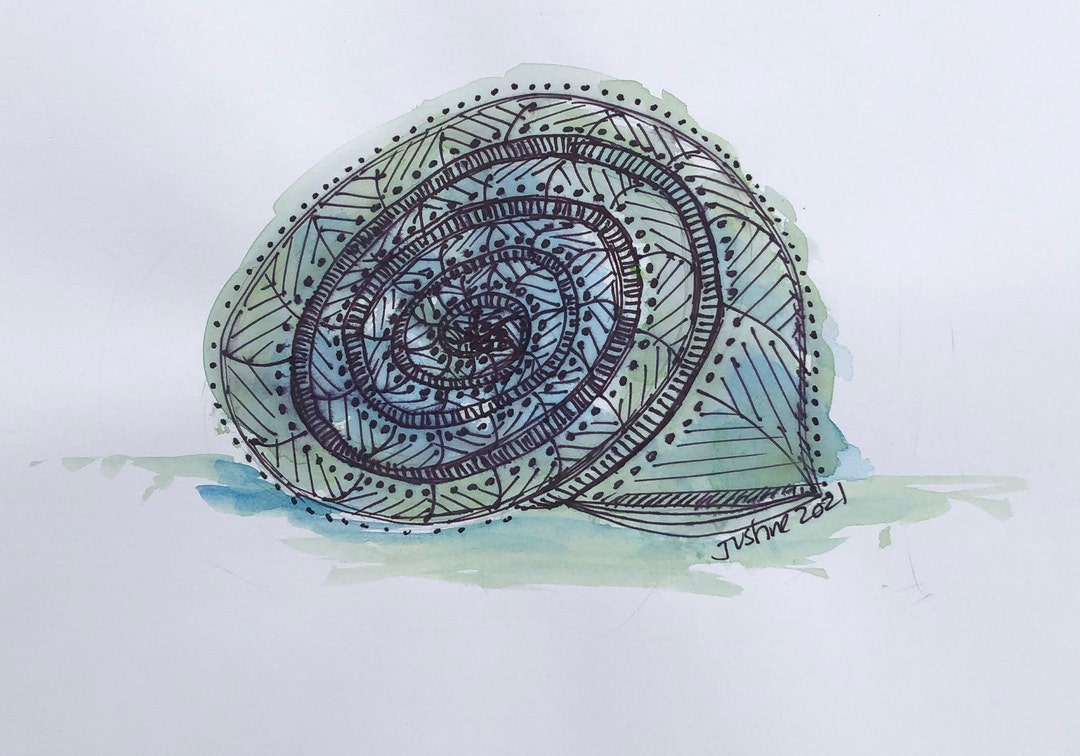 Print From Original Artwork Shell Ink and Watercolour Print - Etsy UK