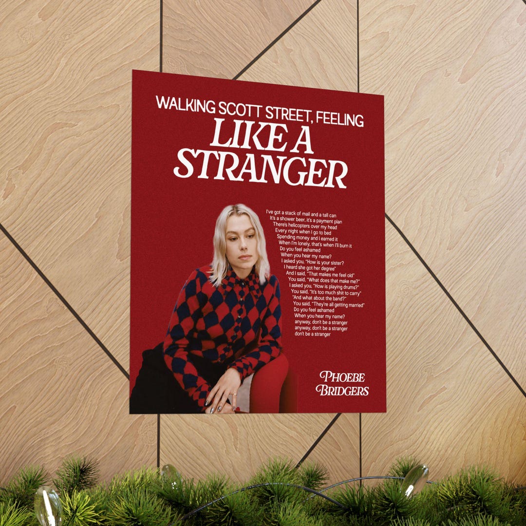 Phoebe Bridgers Scott Street Poster Dorm Decor - Etsy