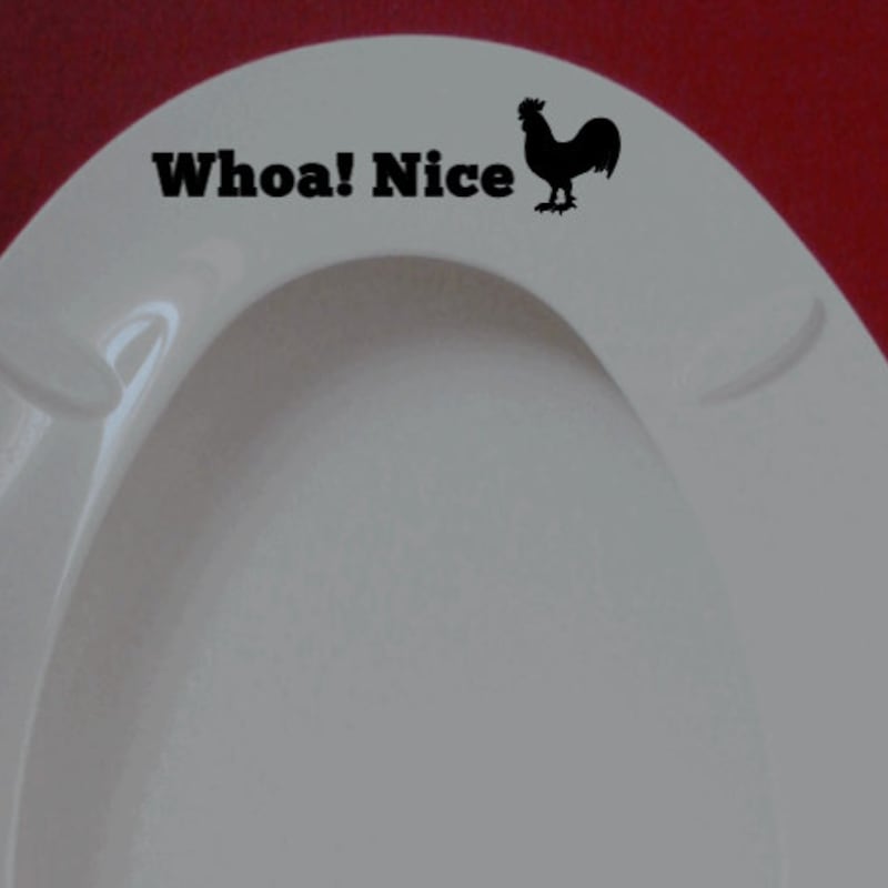 Funny Vinyl Decals - Etsy