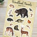 Forest Animals Illustrated Sticker Sheet Pack | 'woodland Friends' via ...