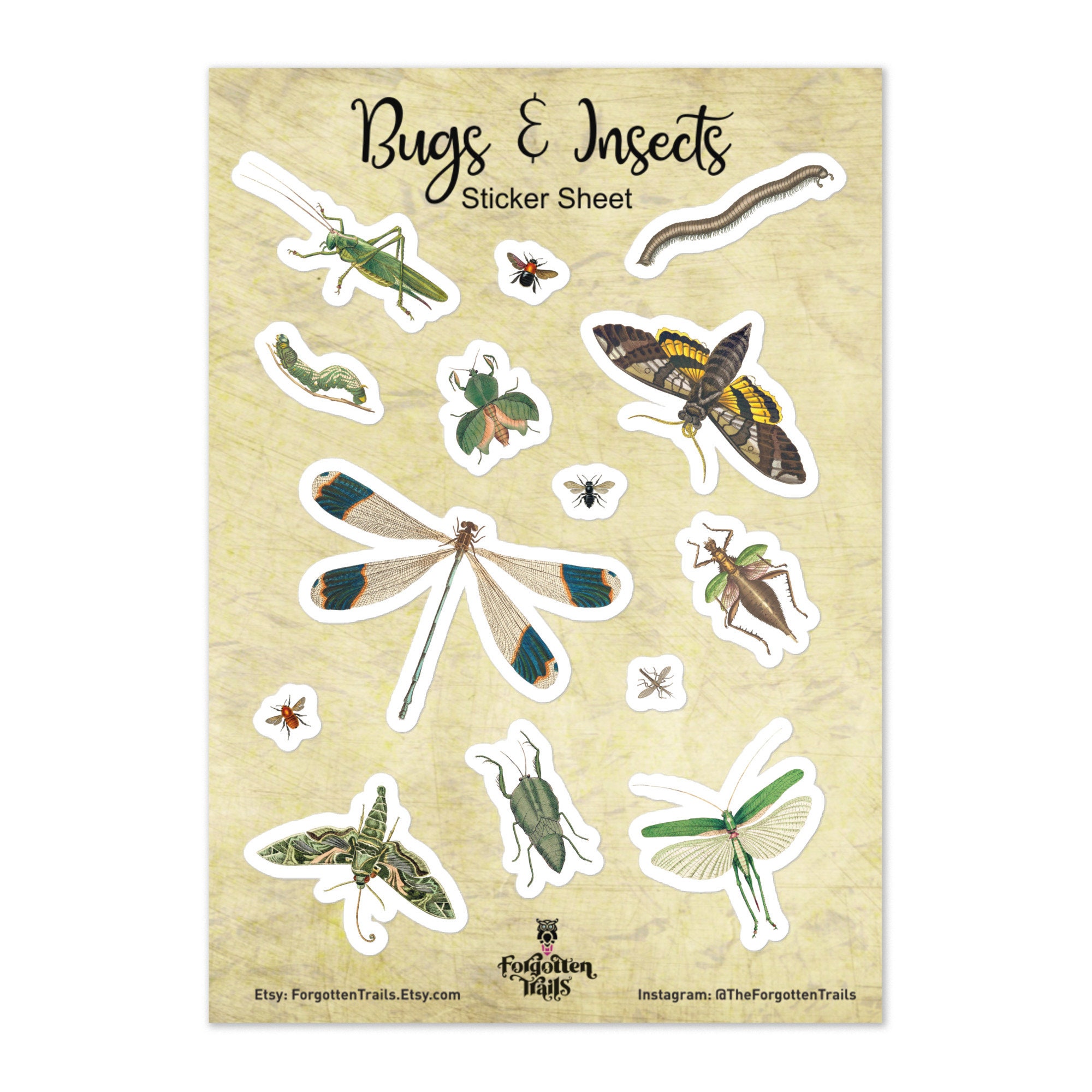 Insects Illustrated Sticker Sheet Pack | 'bugs & Insects' via 'sacred ...