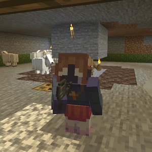 Custom Minecraft Skins info in Description - Etsy