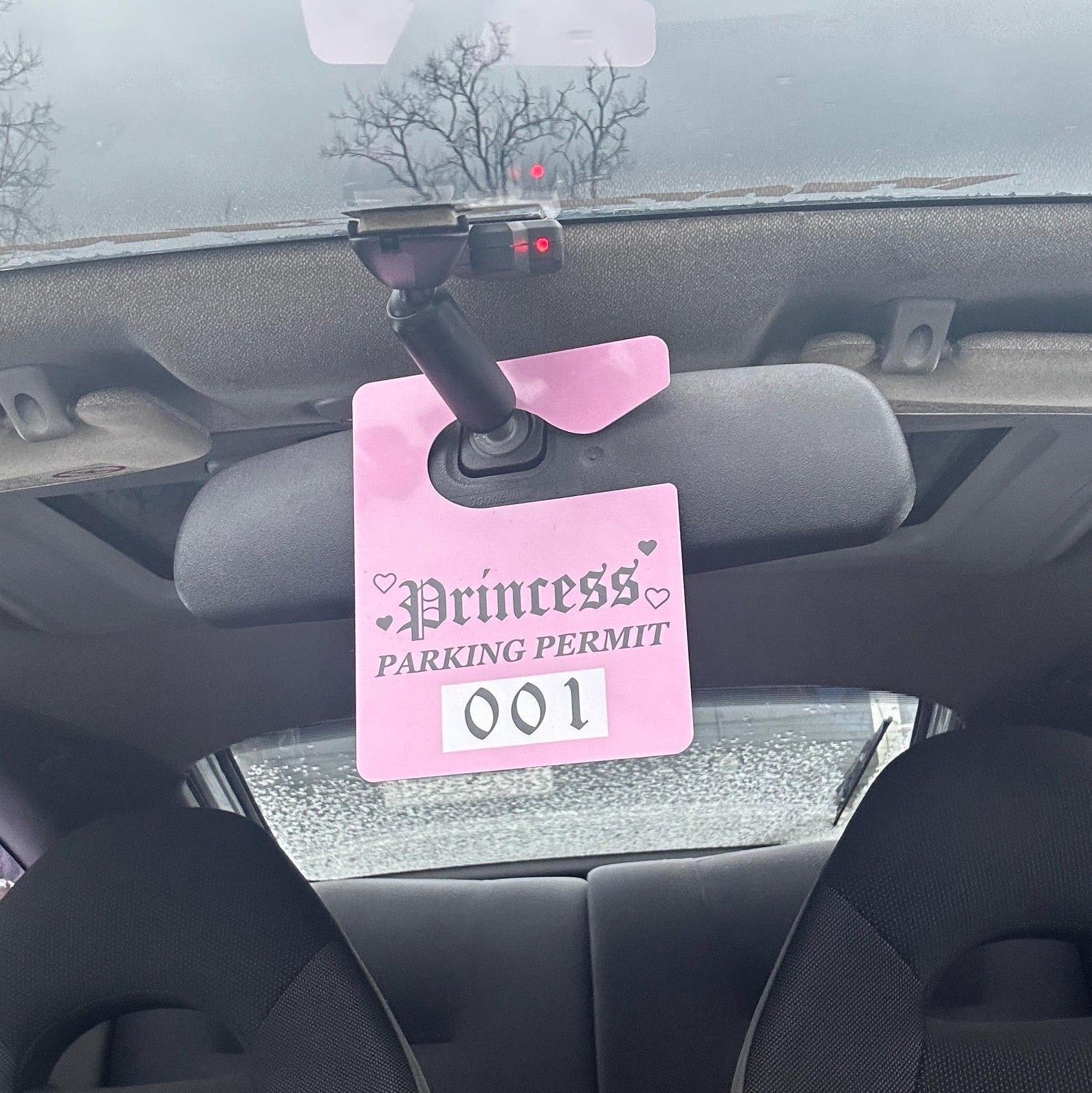 Misprint Princess 001 Parking Permit PLASTIC - Pink PVC Hang Tag Rear ...
