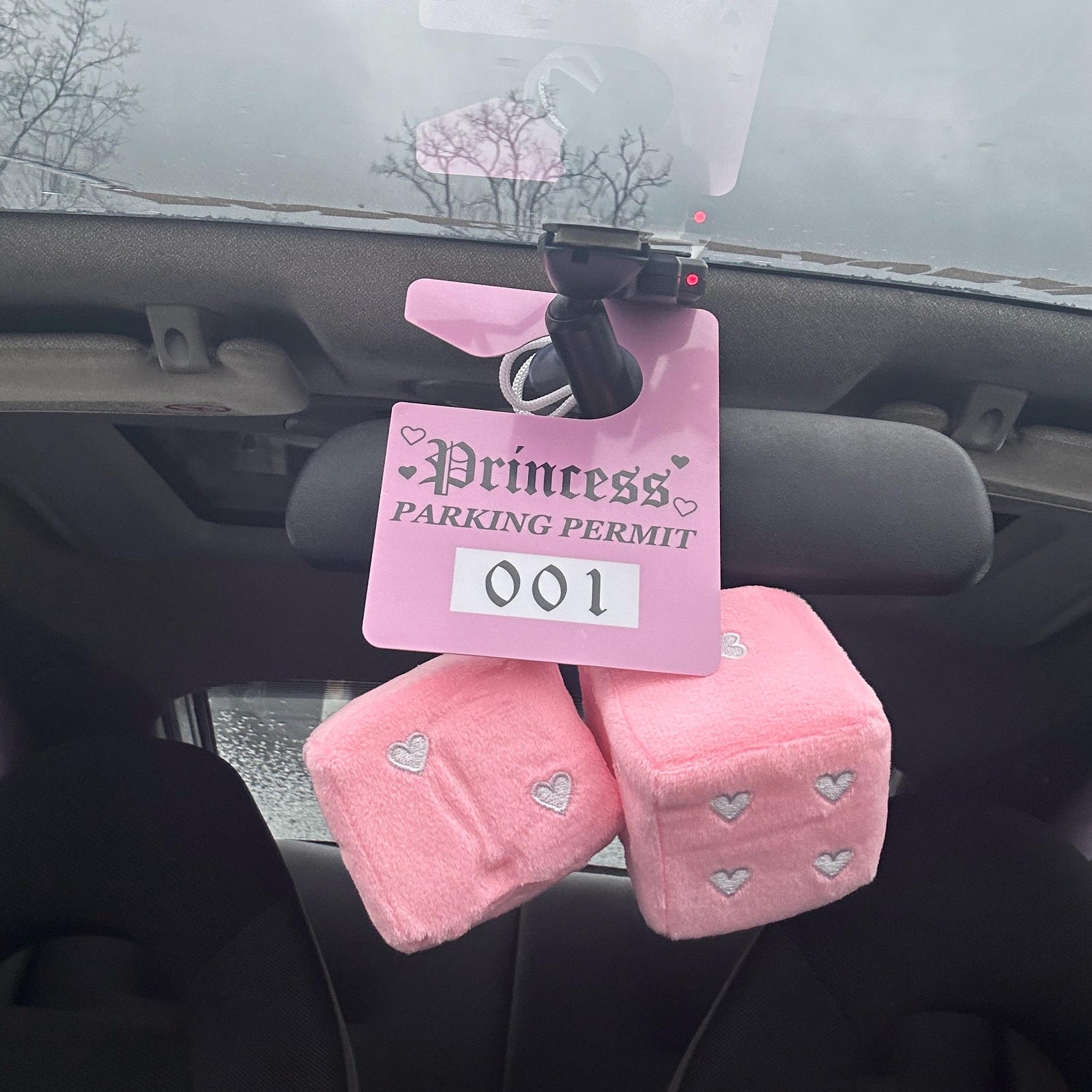 Misprint Princess 001 Parking Permit PLASTIC - Pink PVC Hang Tag Rear ...