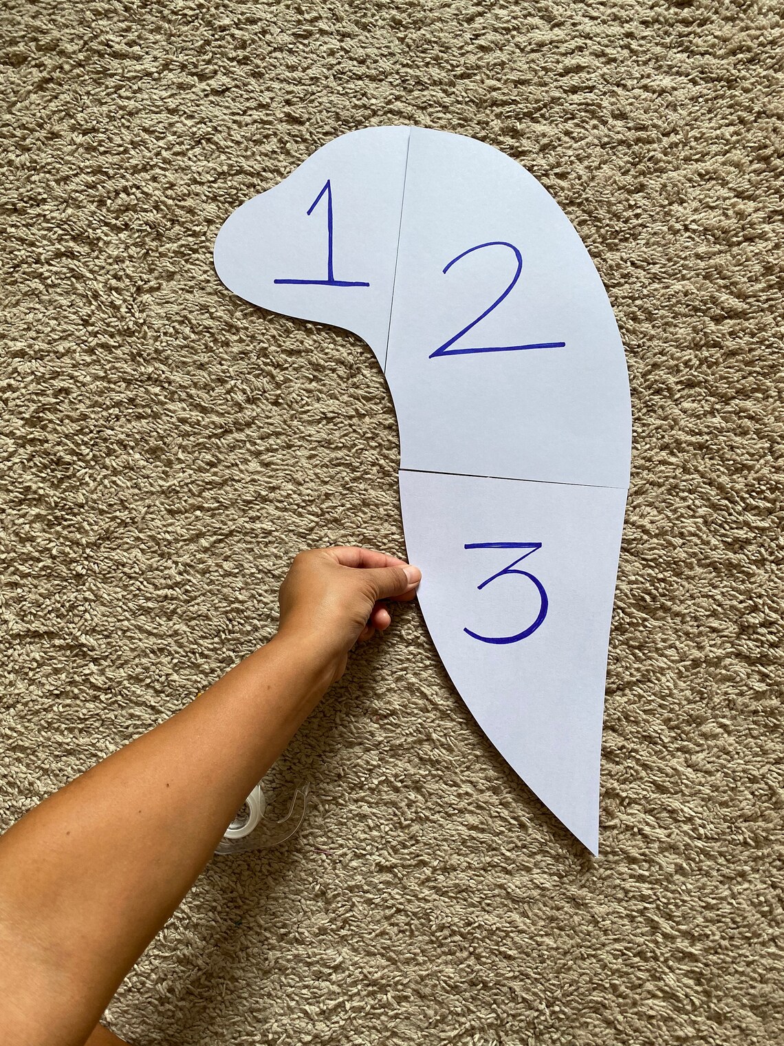 Wing Feather Digital Template - Etsy