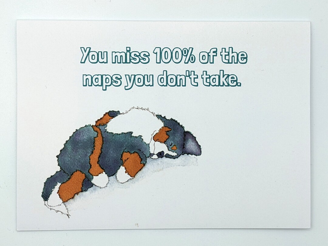 Bernese Mountain Dog Funny Card Naps Relax Dog Card Dog Napping Note ...
