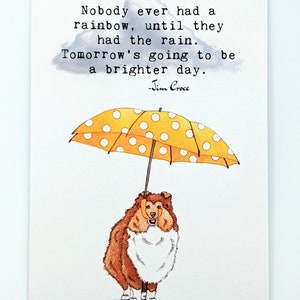 Sheltie | Shetland Sheepdog | Jim Croce | Umbrella | Rainbows ...