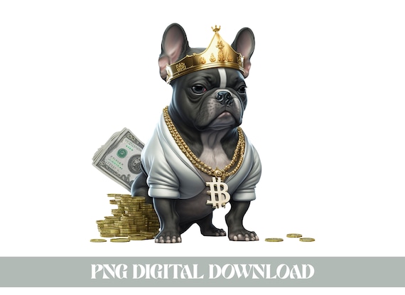 Cool Money Designs
