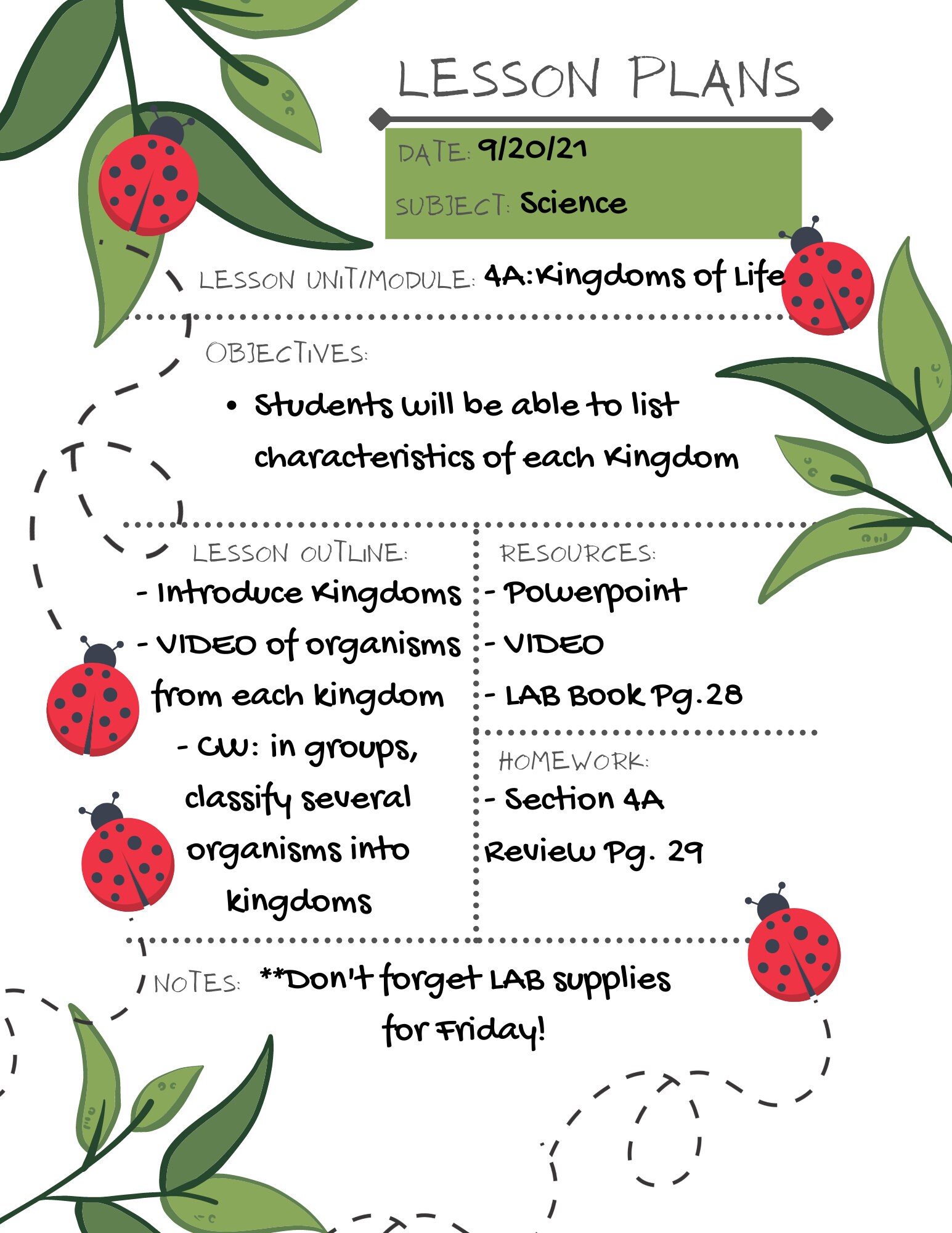 Printable Teacher Lesson Plan, Ladybug Template, Lesson Plan by the ...