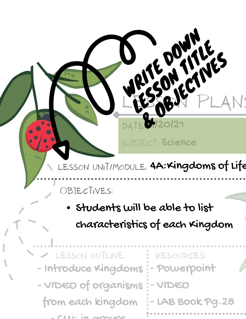 Printable Teacher Lesson Plan, Ladybug Template, Lesson Plan by the ...