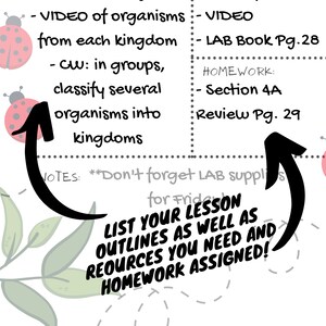 Printable Teacher Lesson Plan, Ladybug Template, Lesson Plan by the ...