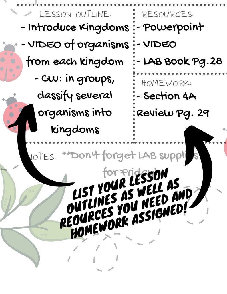 Printable Teacher Lesson Plan, Ladybug Template, Lesson Plan by the ...